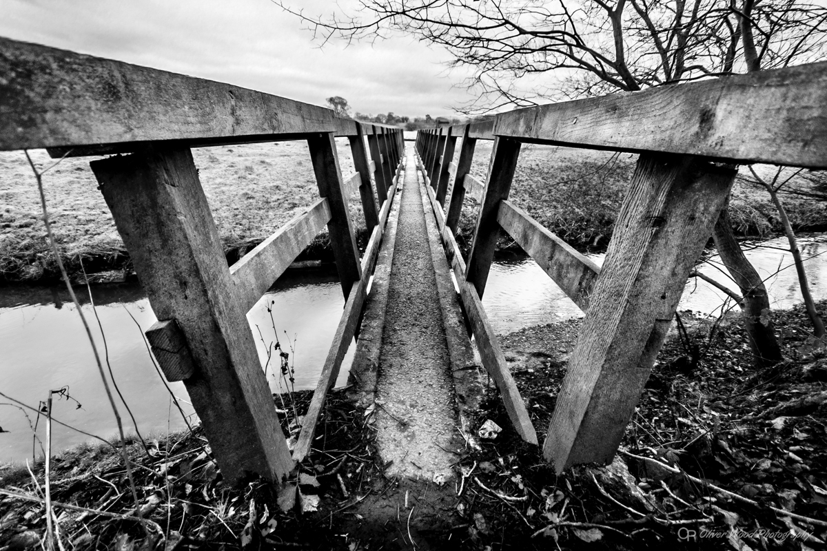 Walking to Mottram Hall | Oliver Wood Photography